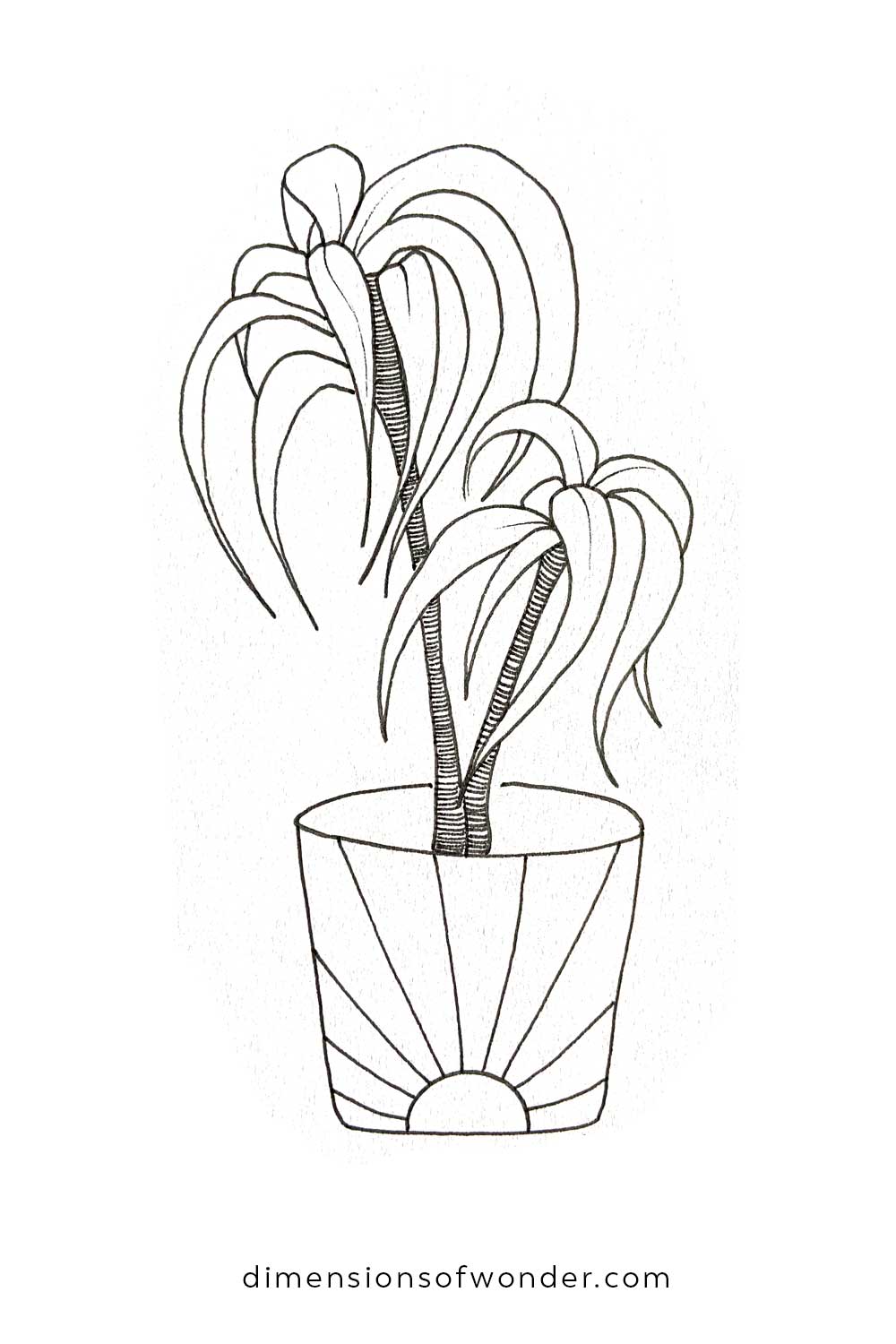 Cute Plant Doodles to Brighten Your Day